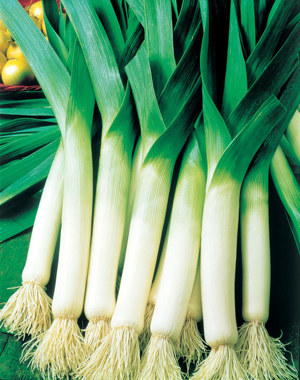 Dyrk porre og asparges fra frø i køkkenhaven.